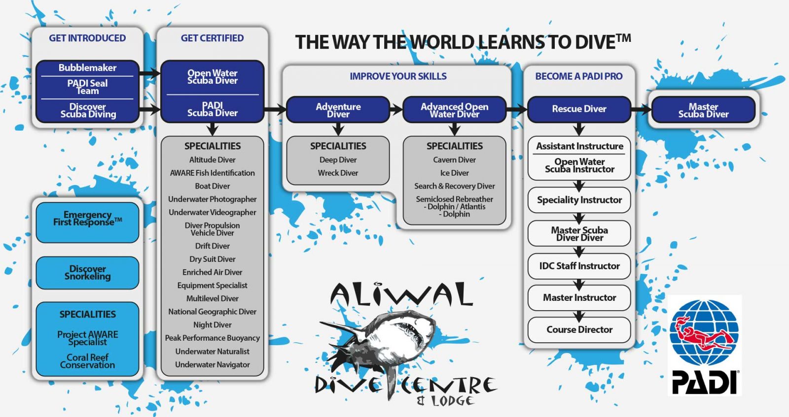 Dive School – Aliwal Dive Center & Lodge